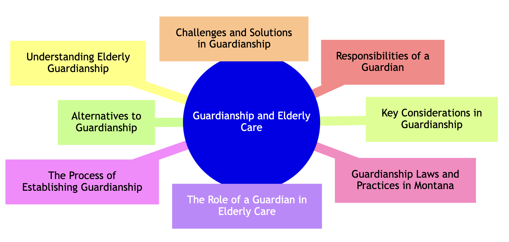 Guardianship and Elderly Care: Making Informed Decisions - Montana ...
