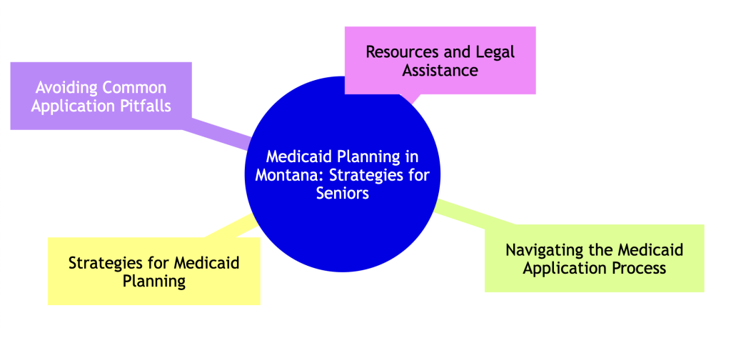 Medicaid Planning in Montana: Strategies for Seniors (2024)